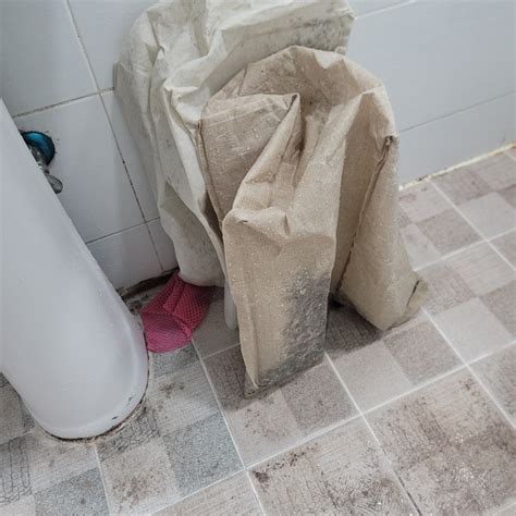 패브릭 재질 곰팡이 제거 질문드려요 지식in