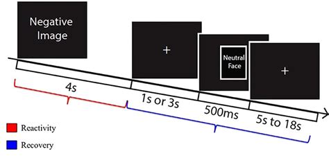 Trial Schematic For The Uninstructed Emotion Regulation Task