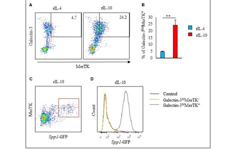 Bone Marrow Derived Cd11b Ly6g − Cells Differentiate To Download Scientific Diagram