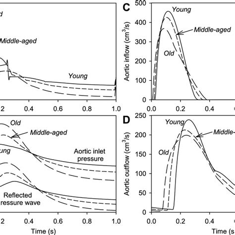 Effects Of Aorta Aging On Myocardial Kinematics And Dynamics A With Download Scientific