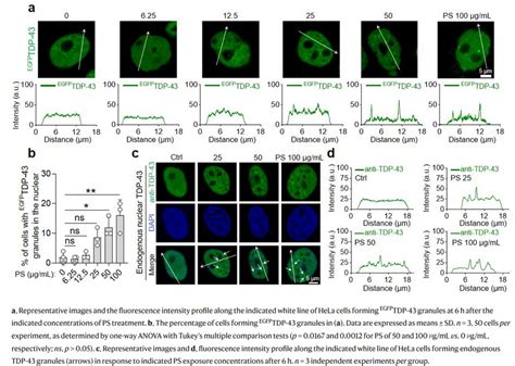 不止imagej：怎么快速实现径向荧光强度分析？