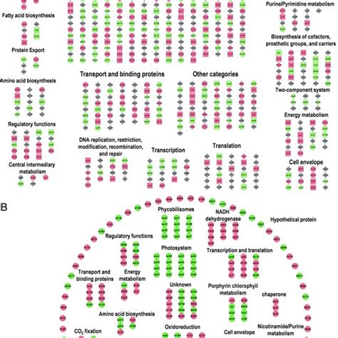Classification Of All Degs And Deps Based On Their Go Categories A