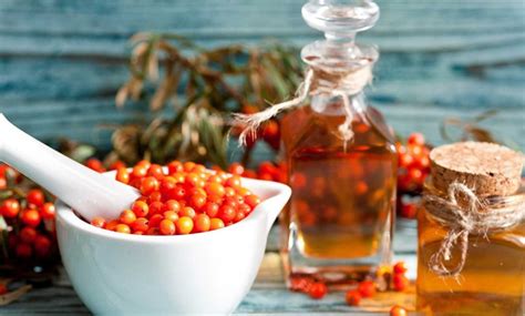 ქაცვის ზეთის გამოყენების 7 სამედიცინო მეთოდი ნამდვილად დაგეხმარებათ