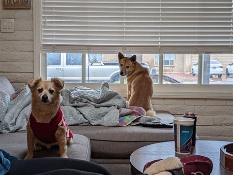 My Very Very Best Friend Scrolller