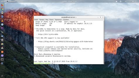 Как подключиться по Ssh Losst