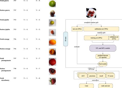 Figure From Fruit Freshness Detection Based On Multi Task Convolutional Neural Network