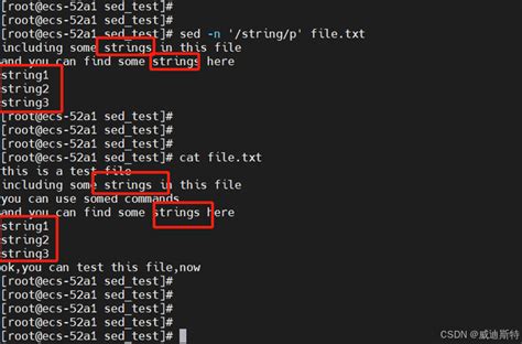 linux命令：文本处理工具sed详解 linux命令 sed替换字符串详解 csdn博客