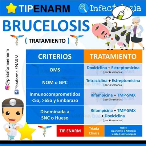 Brucelosis 🦠 Doctor En Medicina Medicina Humana Medicina De Urgencias