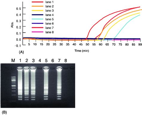 A Turbidity Measurements Of Lamp Reaction Mixtures For Map Detection