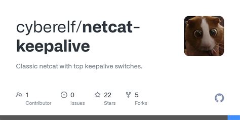 Github Cyberelfnetcat Keepalive Classic Netcat With Tcp Keepalive Switches