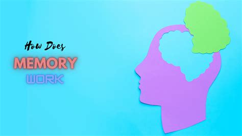 The Science Of Memory How Our Brains Encode Store And Retrieve Information Part 1 Bulb