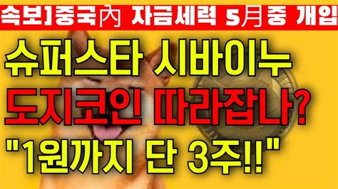시바이누 Shib 중국 자금세력 5월중 개입 시바이누 1원까지 3주 시바이누 시바이누코인 코인 코인전망 비트코인 도지코인 Youtube