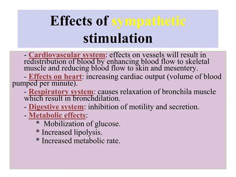 Ppt Autonomic Nervous System Powerpoint Presentation Free Download