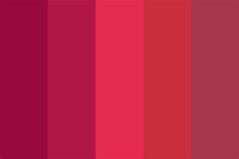 Amaranth Shades Color Palette