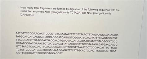 Solved How Many Total Fragments Are Formed By Digestion Of