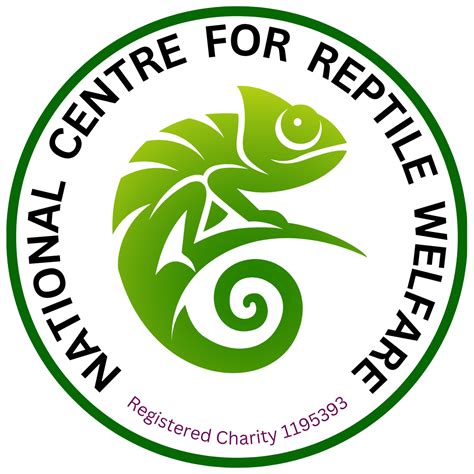 Tortoise Hibernation Guide Ncrw