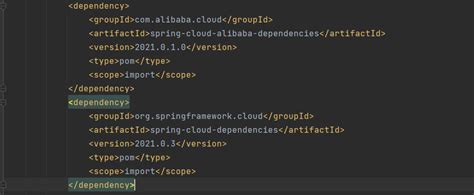 nacos 客户端读取公共配置文件异常 nacos The client fails to read the public configuration file
