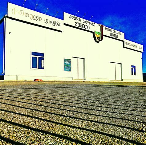 ქართული დაფნა