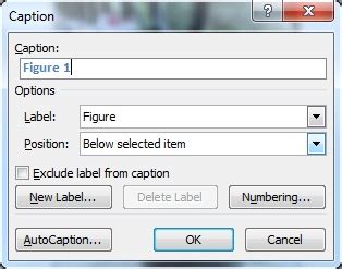 Kalpanie S Adding Captions To Figures In Word