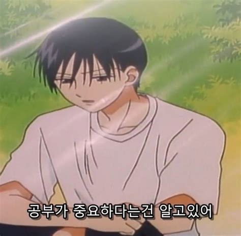 짤에 있는 지인 양님의 핀 웃긴 밈 재미있는  웃긴 인용구