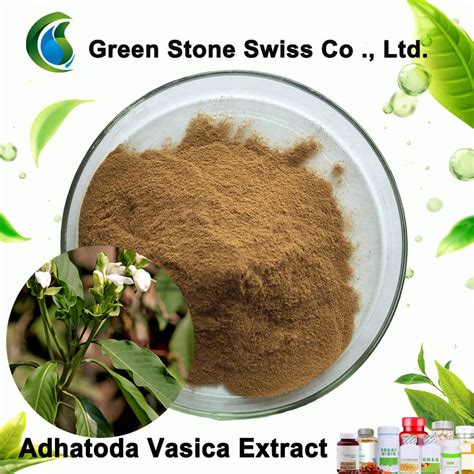 Adhatoda Vasica Extract 10 1 Price Supplier Manufacturer From Green Stone