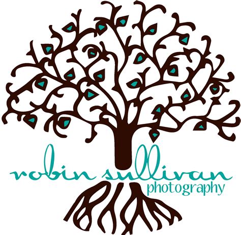 Robin Sullivan Photography