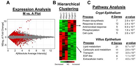 High Throughput Gene Expression Profiling By Microarray Analysis A M Download Scientific