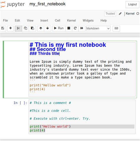 Using Jupyter Notebook Teidehpc
