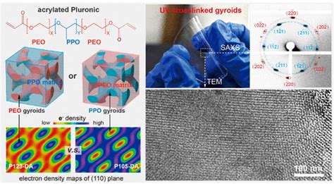 Highly Ordered Gyroid Nanostructured Polymers Facile Fabrication By Polymerizable Pluronic