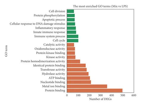 Go Functional Classification On Degs Go Terms Are Divided Into Three