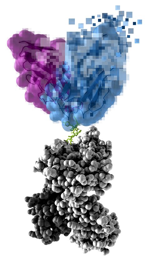 Simple And Effective Biological Data Science Training