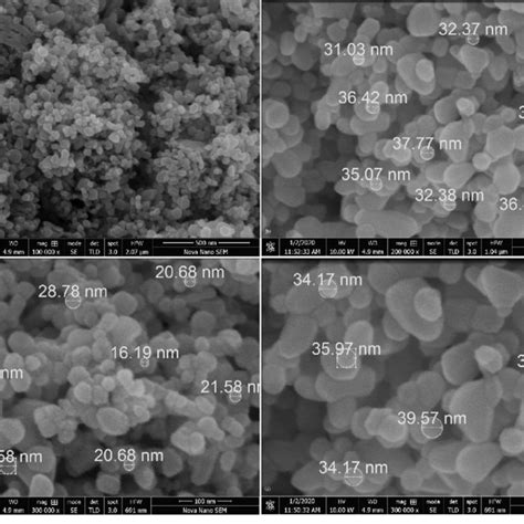 SEM images and size distribution of ZnO NPs at a magnification of (a)... | Download Scientific ...