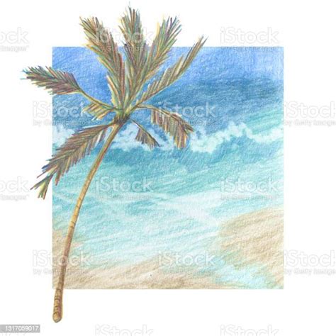 열대 야자수와 해양 및 모래 질감의 배경이있는 여름 배열은 컬러 연필로 만들어집니다 손으로 그린 0명에 대한 스톡 벡터 아트 및