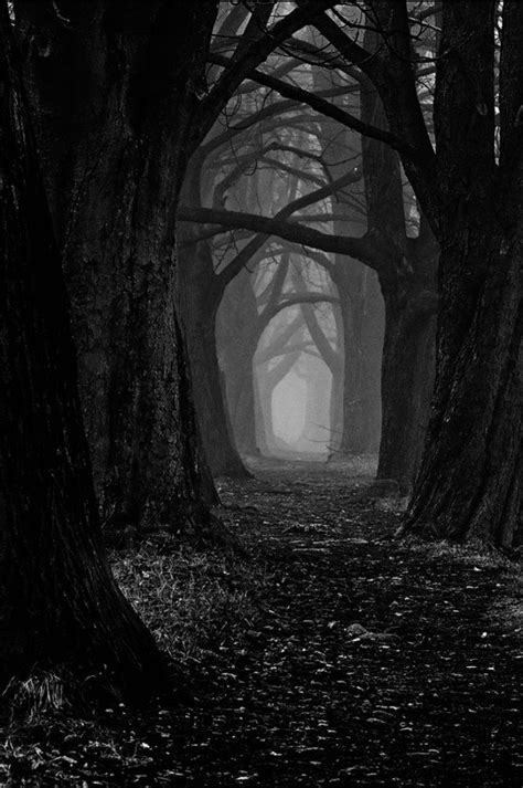The Darkness