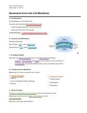 Understanding Movement Across The Cell Membrane A P Chapter Course Hero
