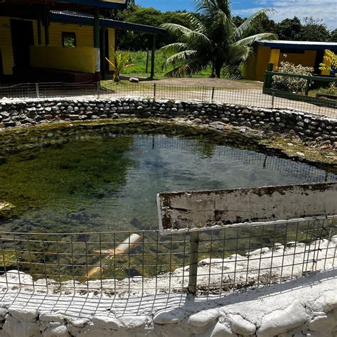 Sabeto Hot Springs And Mud Pool 2026 All You Should Know Before You