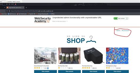 Access Control Lab 4 Unprotected Admin Functionality With