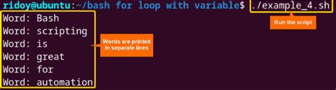 How To Use Bash “for” Loop With Variable 12 Examples Linuxsimply