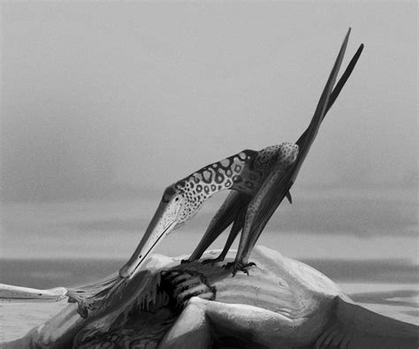 John Conways Log On Tumblr