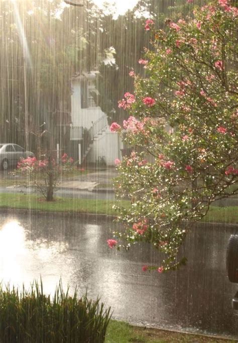 Pin By Hannah Maybelline On Summer Moodboard Rain Pictures Scenery Walking In The Rain