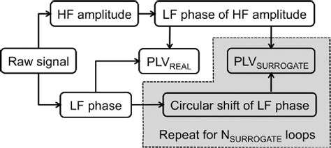Figure 2 From Multivariate Phaseamplitude Cross Frequency Coupling In Neurophysiological