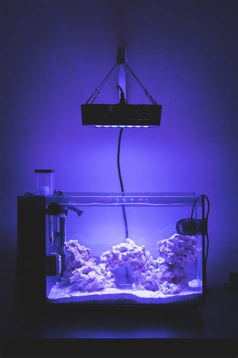 My Fluval 135 Evo Is Ready To Be Cycled Rreeftank