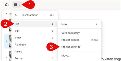 Project Settings Descript Help