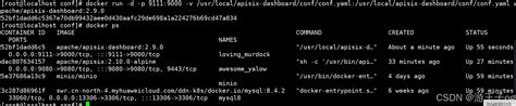 Apache Apisix学习（1）：介绍、docker启动apisix Docker Csdn博客