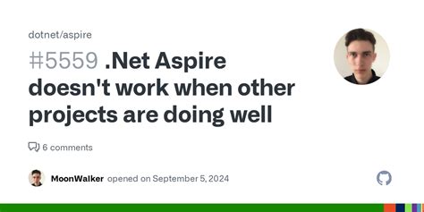 Net Aspire Doesnt Work When Other Projects Are Doing Well · Issue
