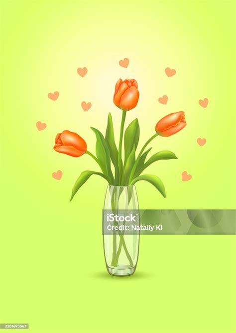 세 개의 빨간 튤립이 수직 황록색 배경의 유리 꽃병에 서 있으며 하트가 흩어져 있습니다 인사말 카드 생일 축하해요 세계 여성의 날 발렌타인 데이 벡터 일러스트 레이 션 0