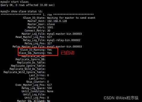 【基于docker安装mysql主从复制（一主一从）详细步骤】 csdn博客