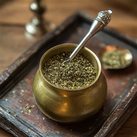 Erva Mate O Ouro Verde Das Américas A História Das Plantas