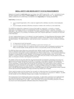 SMALL ENTITY AND MICRO ENTITY STATUS Small Entity And Micro Entity Status Pdf PDF PRO