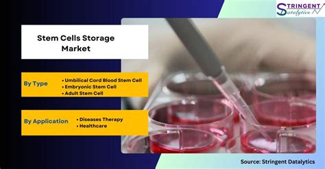 Stem Cells Storage Market Report Sd Research News Posted On The Topic